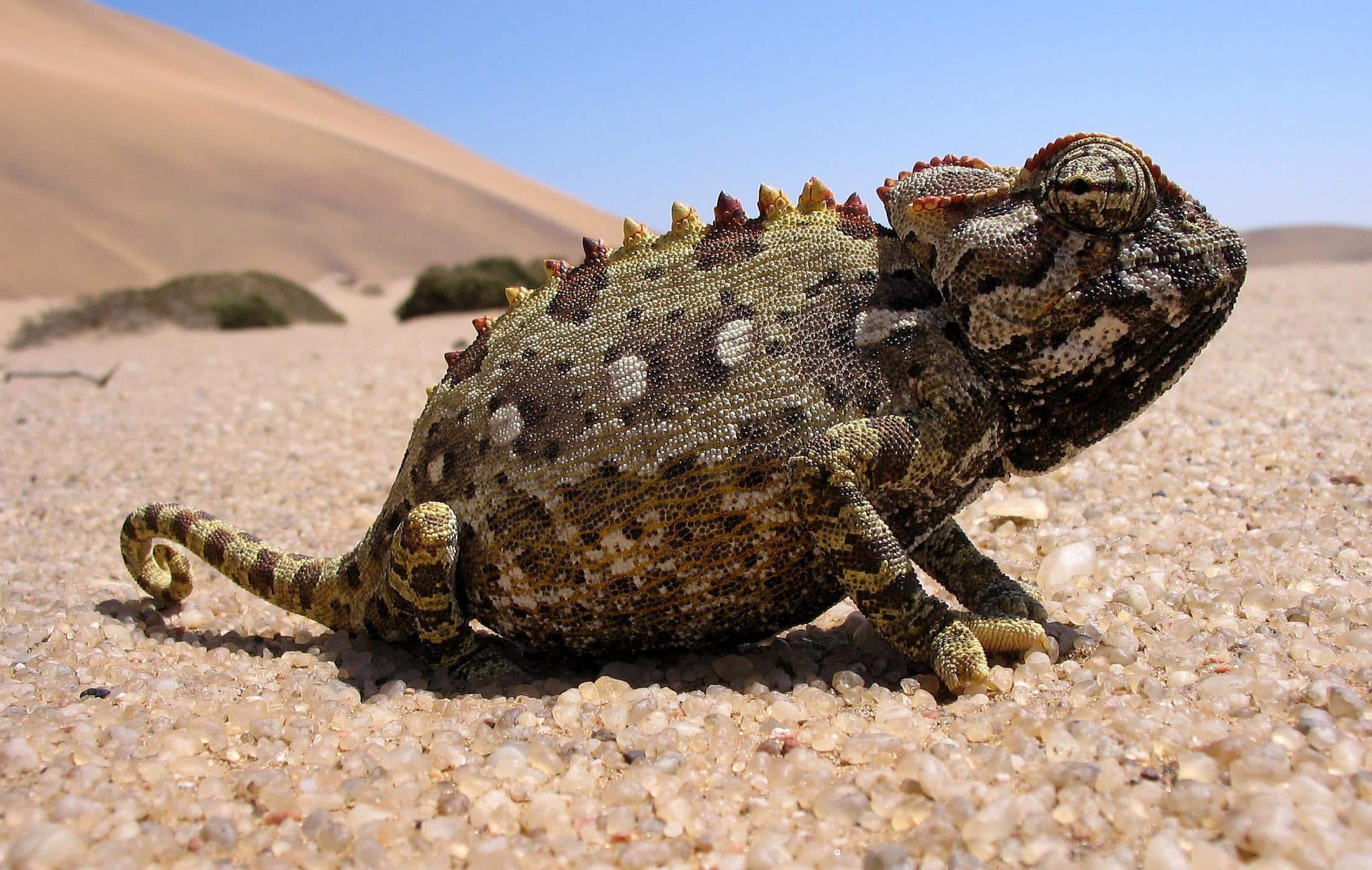 Our African Photo Gallery | ATI Holidays
