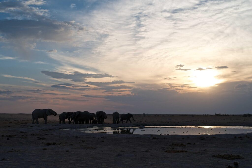 The Kalahari Desert Wilderness Safaris & Tours | ATI Holidays