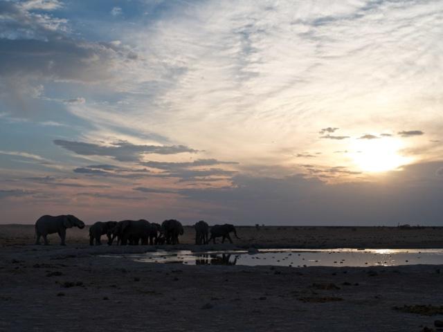 The Kalahari Desert Wilderness Safaris & Tours | ATI Holidays