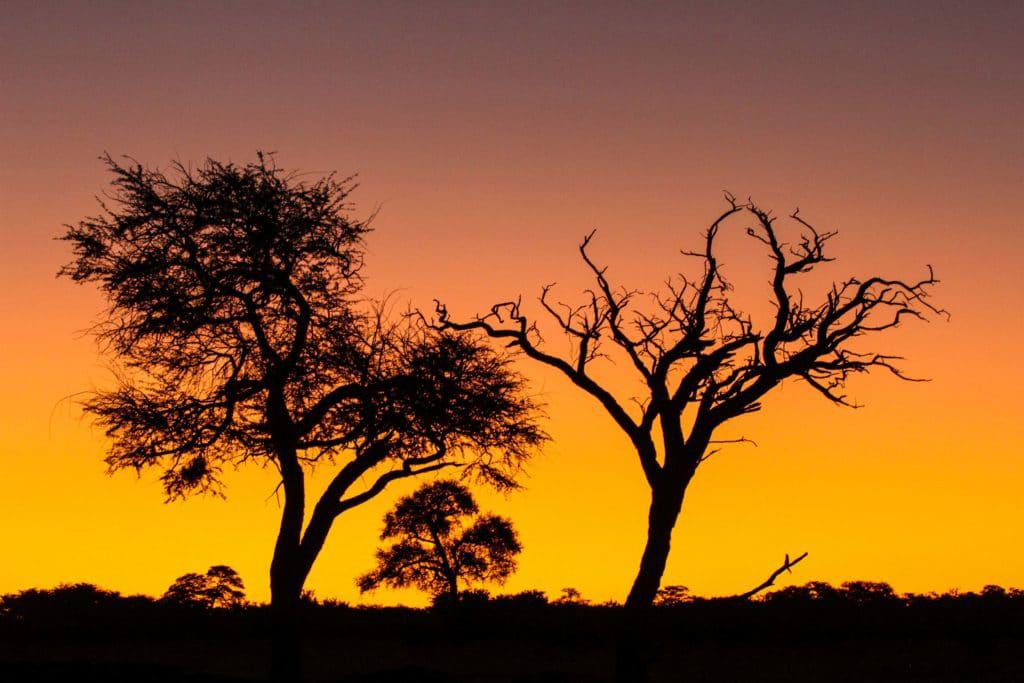 Lake Kariba in Zimbabwe - Safari Tour Destinations | ATI Holidays